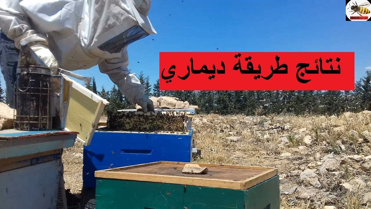 نتــائج تطبيق طريقة ديماري على خليتي الحلقة الحلقة الثانية/demaree ...