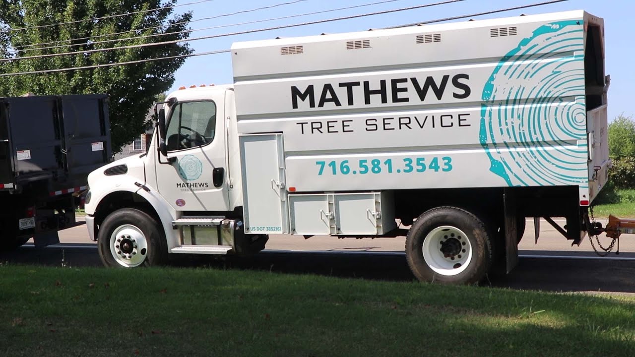 Mathews Tree Service - YouTube