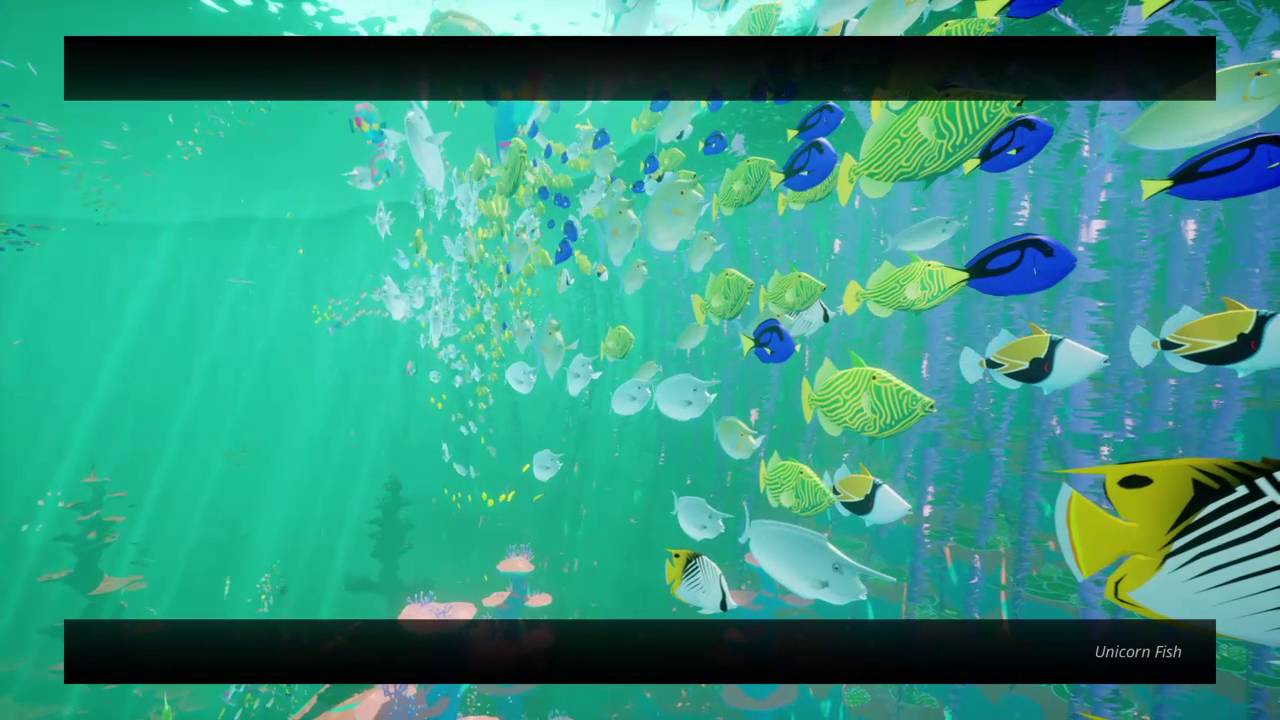 ABZÛ creatures Green Sea Turtle and Reef Fish - YouTube