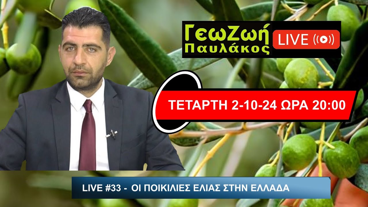 ΓΕΩΖΩΗ LIVE #33 - ΟΙ ΠΟΙΚΙΛΙΕΣ ΕΛΙΑΣ ΣΤΗΝ ΕΛΛΑΔΑ - YouTube