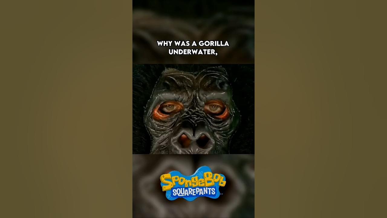 The most confusing episode ever - YouTube