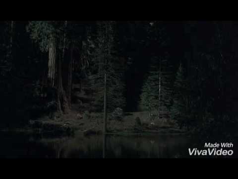 Hulk smash monster gamma dog - YouTube