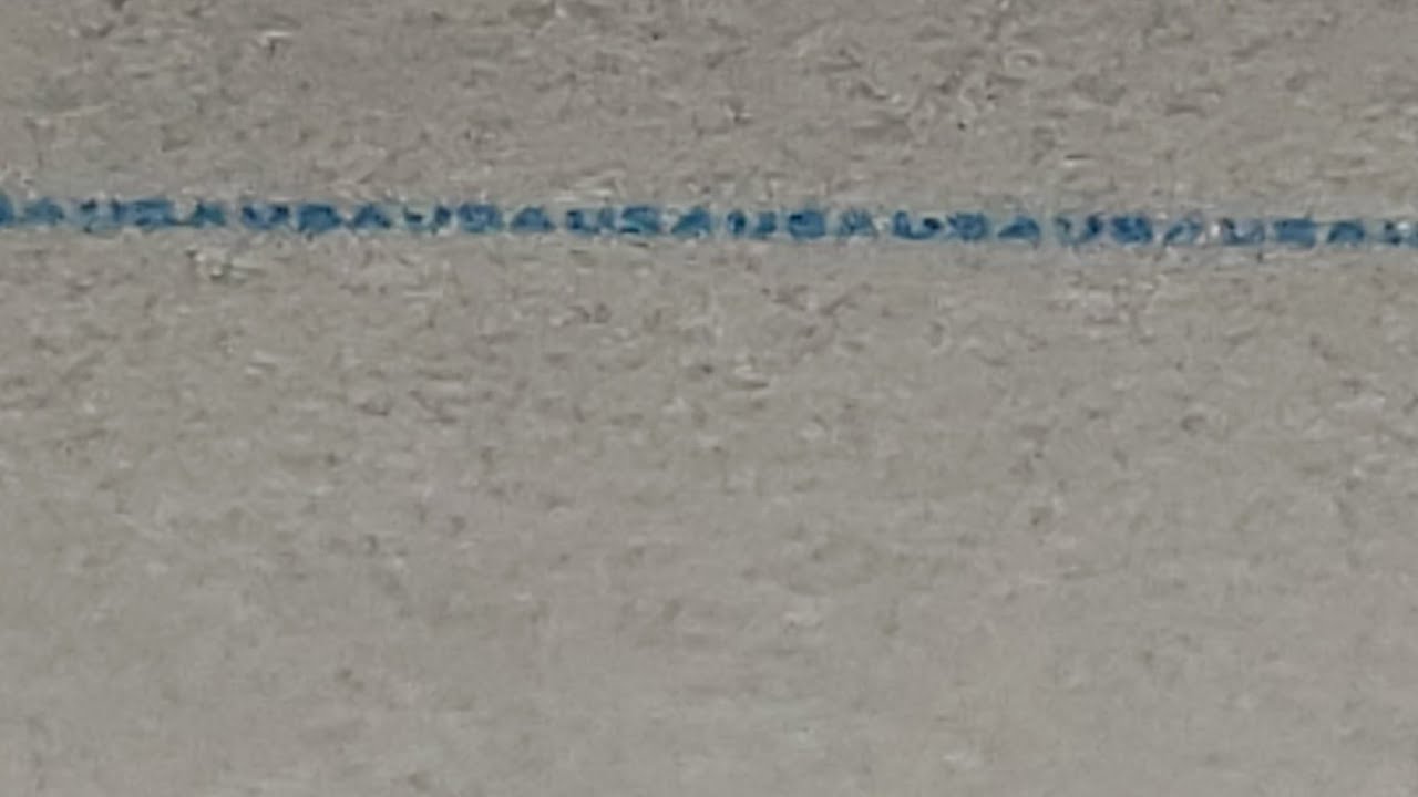 Editorial: INTERESTING INFORMATION ABOUT THOSE STIMMY CHECKS!!! :CAVEAT ...