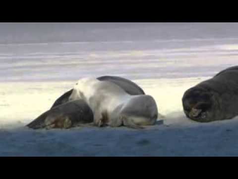 gh jhg jghj ghjg - YouTube