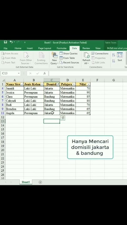 Cara Menggunakan Filter Data Pada Microsoft Excel - YouTube