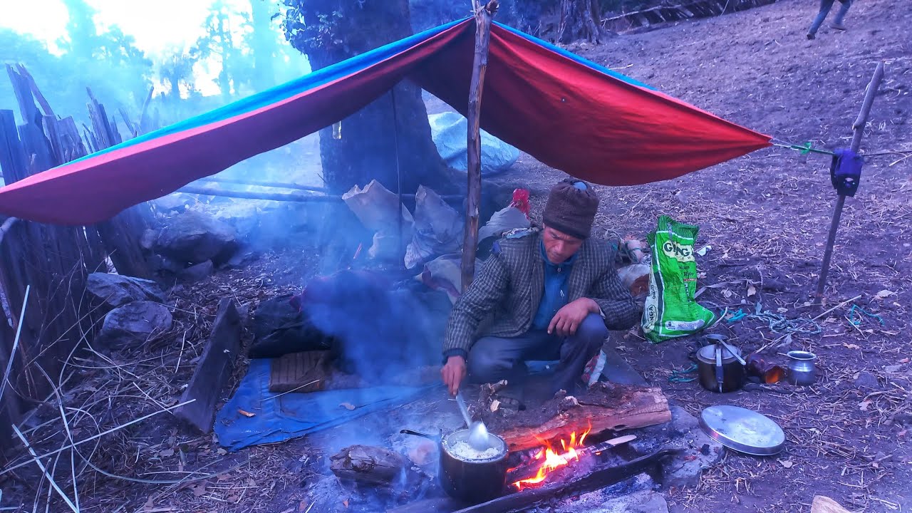 organic Nepali Himalayal Village Food Cooking ||Nepali village kitchen ...