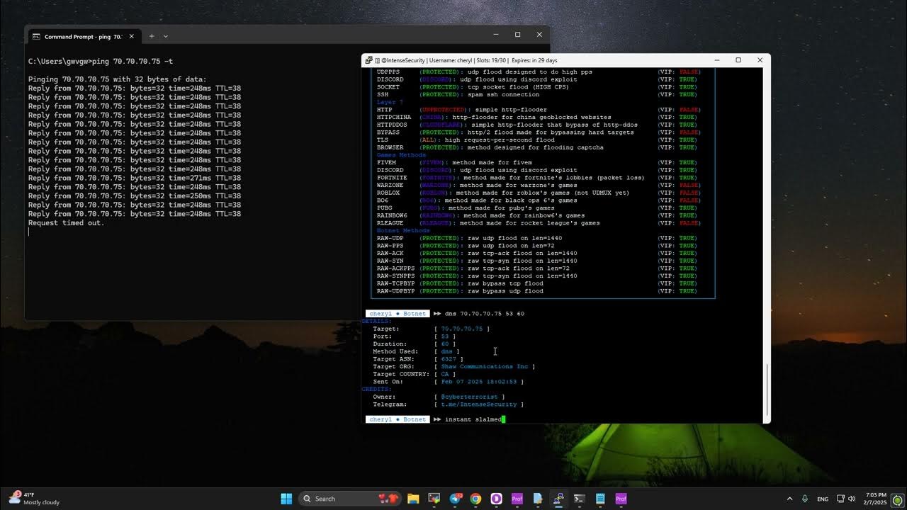 INTENSE BOTNET SHOWCASE | VS HOME INTERNET | BEST C2/BOTNET OF 2025 ...
