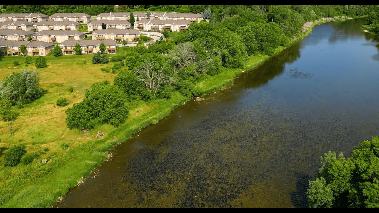 61-165 Chandos Drive Kitchener - YouTube