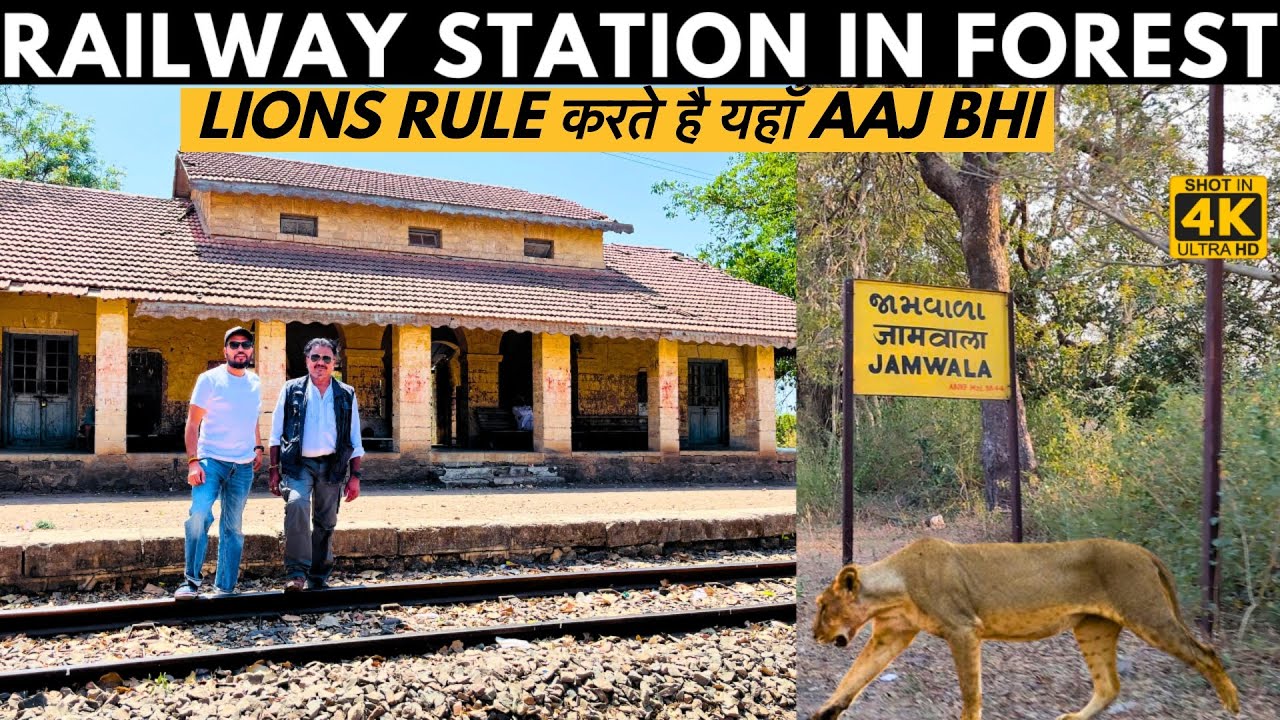 Railway Station In Gir National Park जहां Lions Rule करते है - Jamwala ...