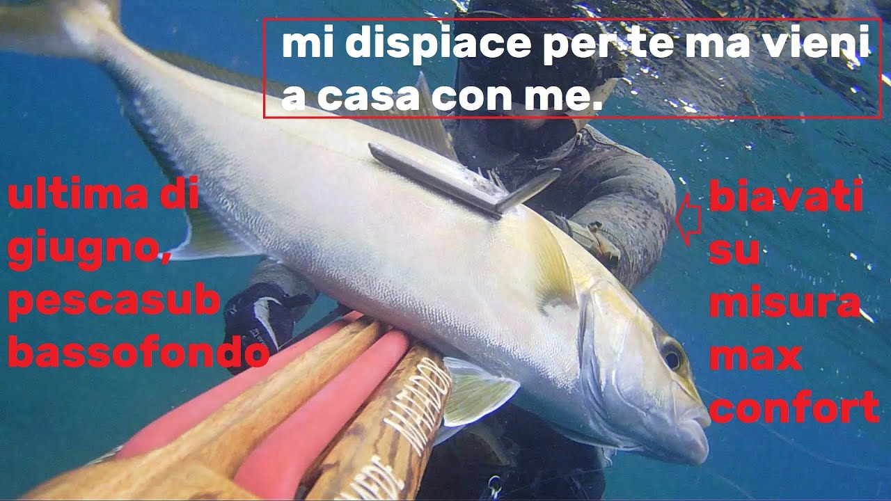 MI DISPIACE PER TE MA VIENI A CASA CON ME.# video pescasub BASSOFONDO ...