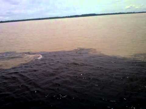 Rio Negro e Solimões - Encontro dos rios - YouTube