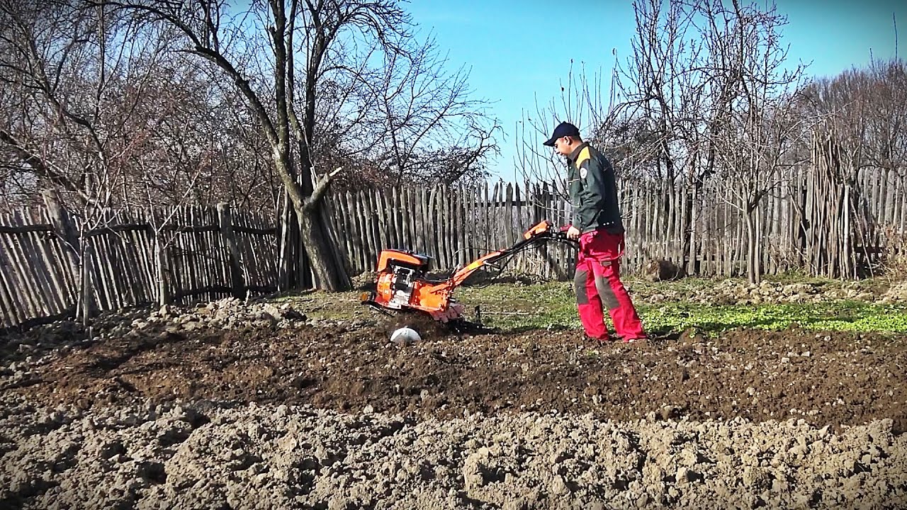 Am frezat, am semanat, am varuit pomi...o zi de primavara la tara - YouTube