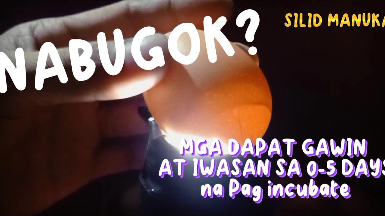 PAANO MAIWASAN ANG BUGOK? - YouTube