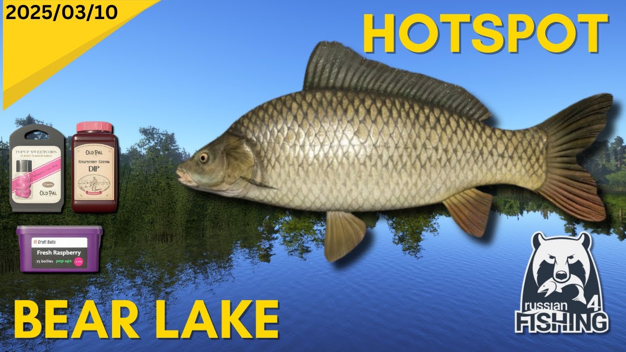 Crazy Active Carp spot - Bear Lake - Russian Fishing 4 - YouTube
