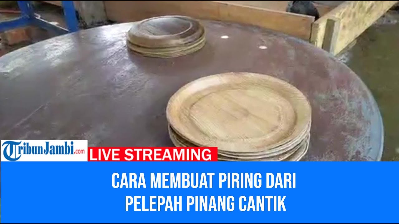 Proses Pembuatan Piring dari Pelepah Pinang Dari Desa Teluk Kulbi ...