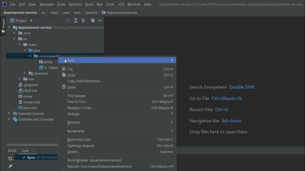 Estructura del proyecto y conexión a base de datos - Microservicios con ...