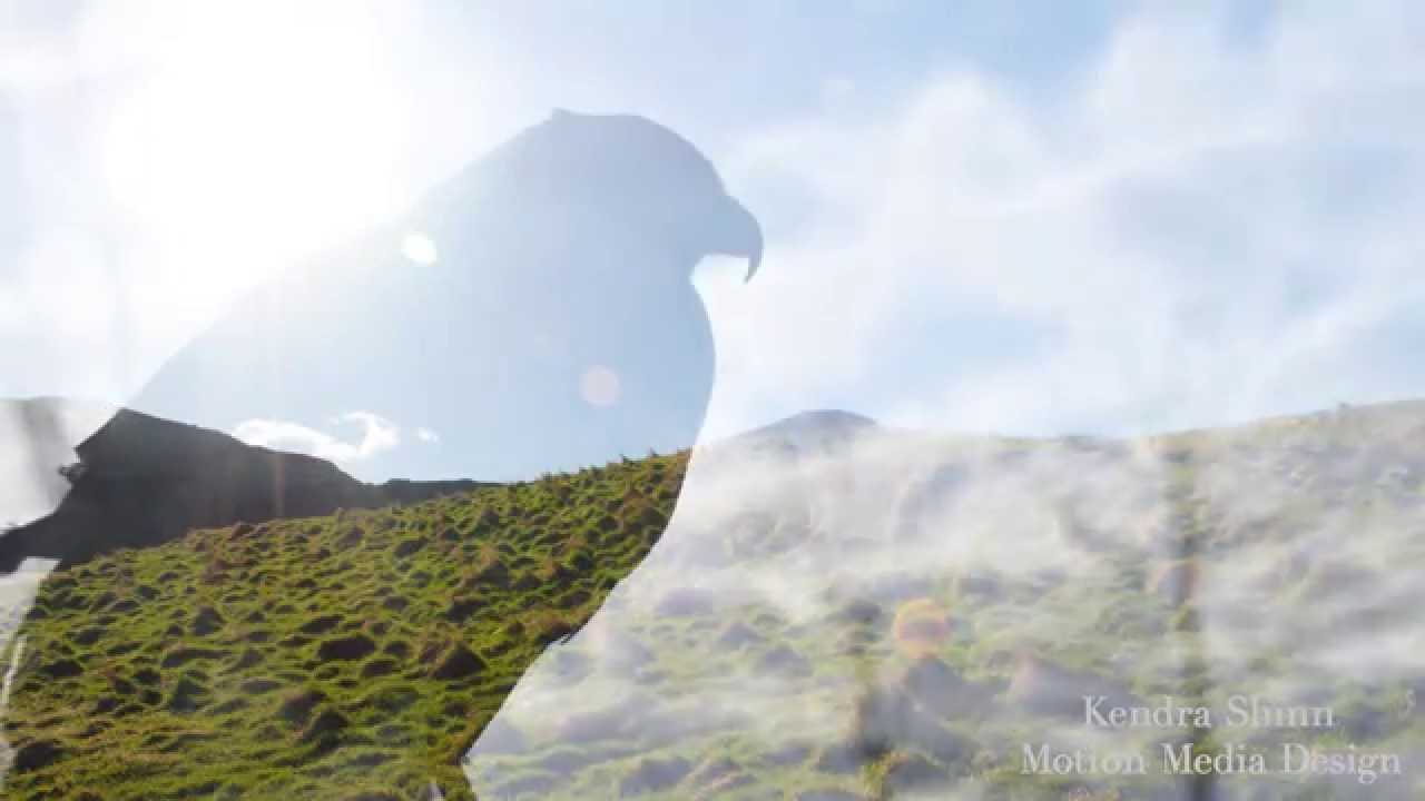 Lesson 5 Multiple Exposure with Transitions - YouTube