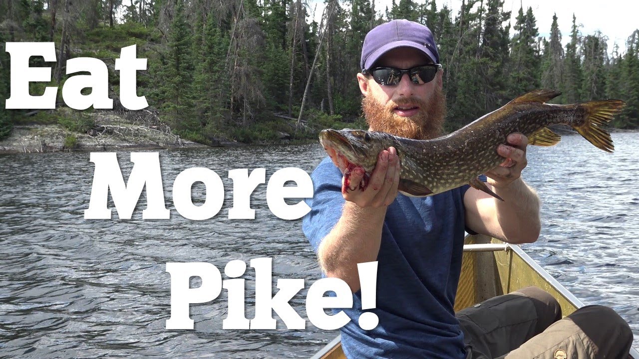Catch and Cook Northern Pike | Success with Flint and Steel - YouTube