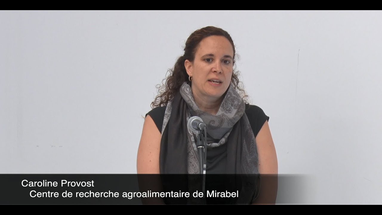Consultation publique ITAQ ITHQ Centre de recherche agroalimentaire de ...