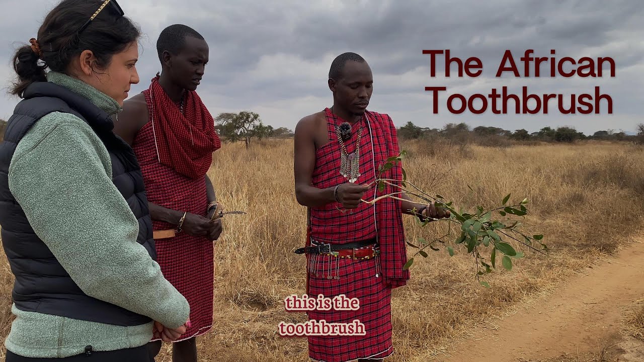 The African Toothbrush | How the Maasai Keep Their Teeth Clean ...