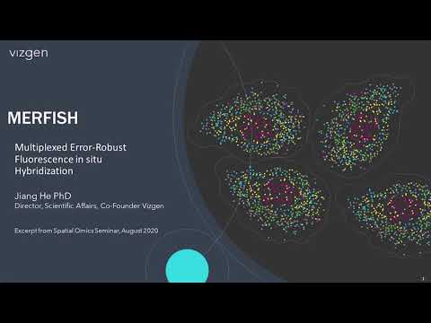 MERFISH Technology Overview - YouTube