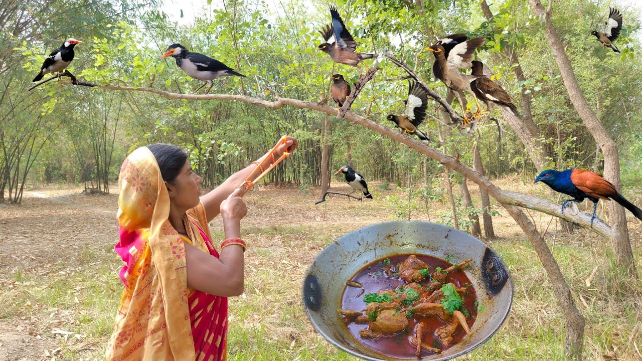 Bird catching videos ! Bird hunting video ! cooking birds and eating in ...