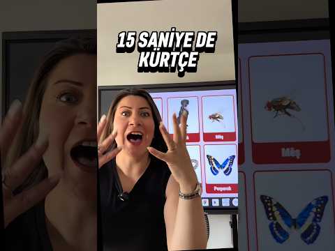 Kürtçe Hayvan İsimleri #kürtçeçeviri #mizginhoca #kurdish #kürtçe #kurdi #kurdionline