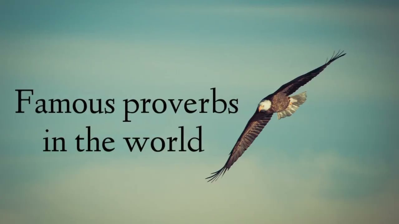 Famous proverbs in the world . #proverbs - YouTube
