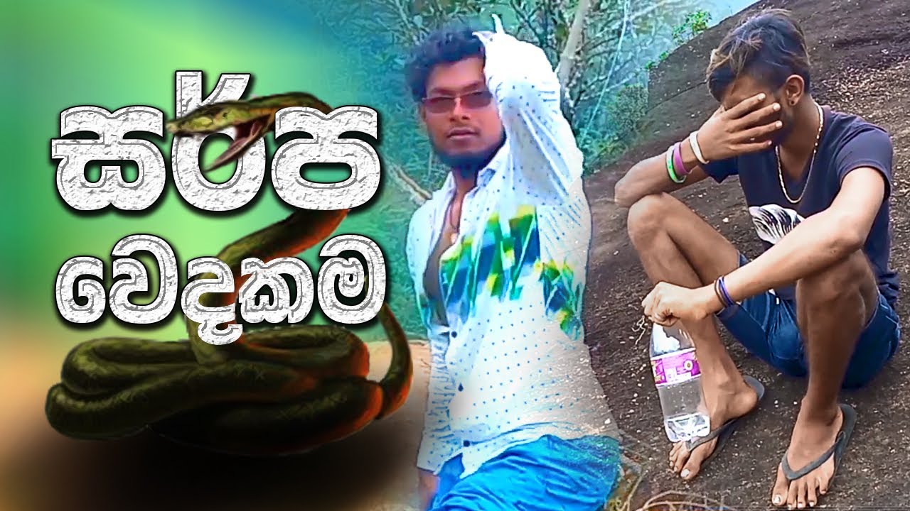 සර්ප වෙදකම | Sarpa Wedakama | Night Tv - YouTube