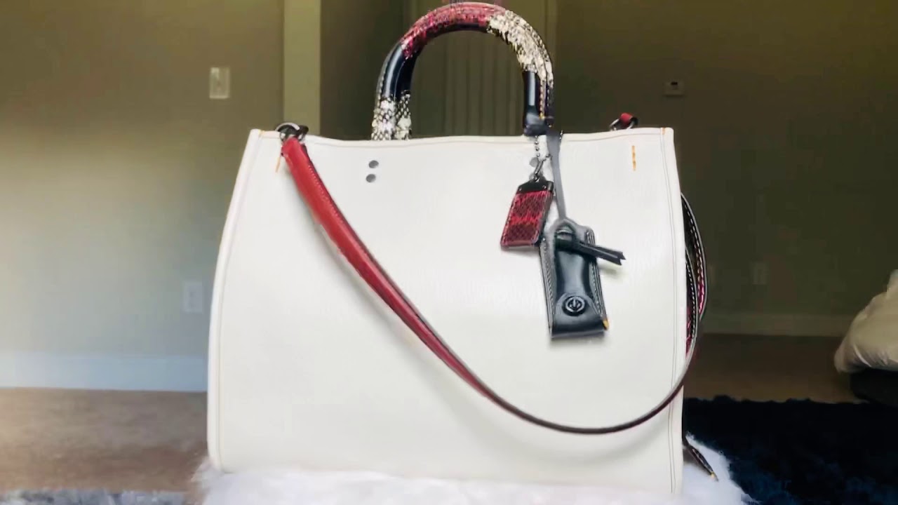 Quick Reveal: One of the Most Stunning Coach Rogues | info in ...