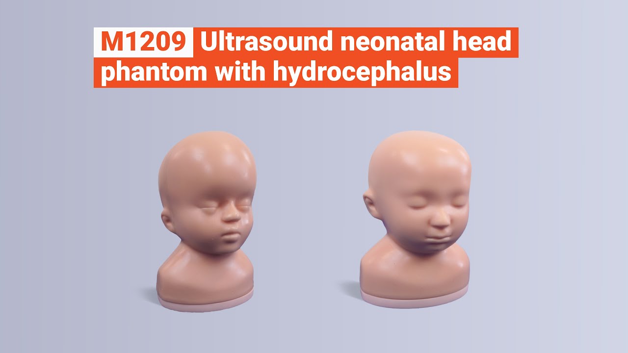 М1209 - Ultrasound neonatal head phantom with hydrocephalus - YouTube