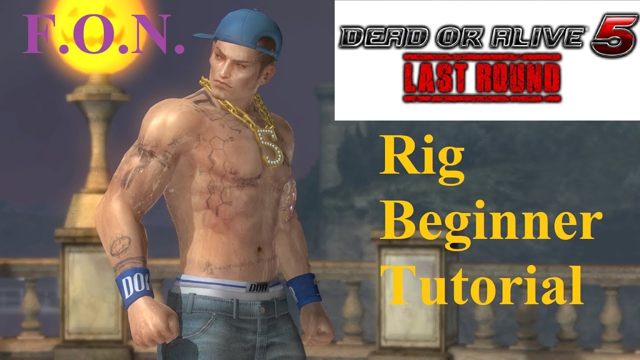 Rig Beginner Guide Tutorial (DOA5LR) - YouTube