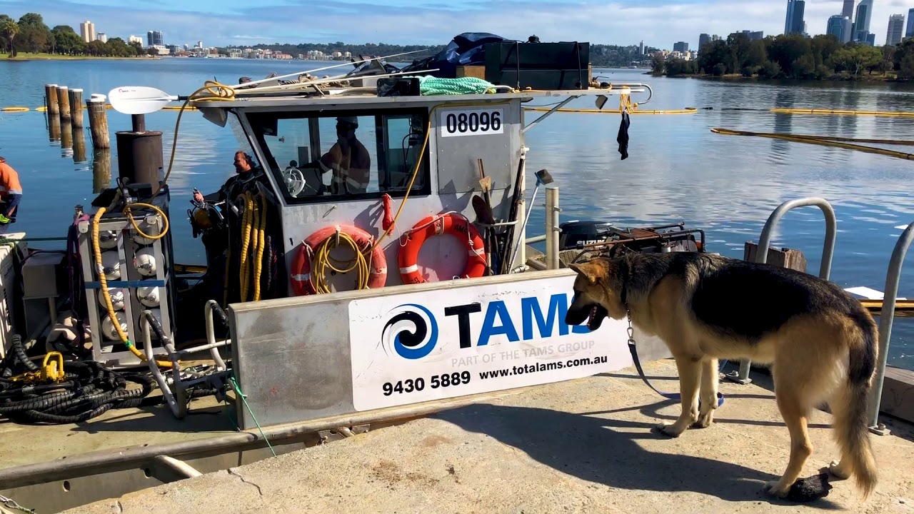 Demosafe Australia - TAMS Group - Ellam St Jetty Demolition - YouTube
