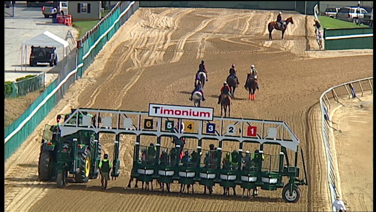 TIMONIUM 9 2 2016 RACE 5 - YouTube