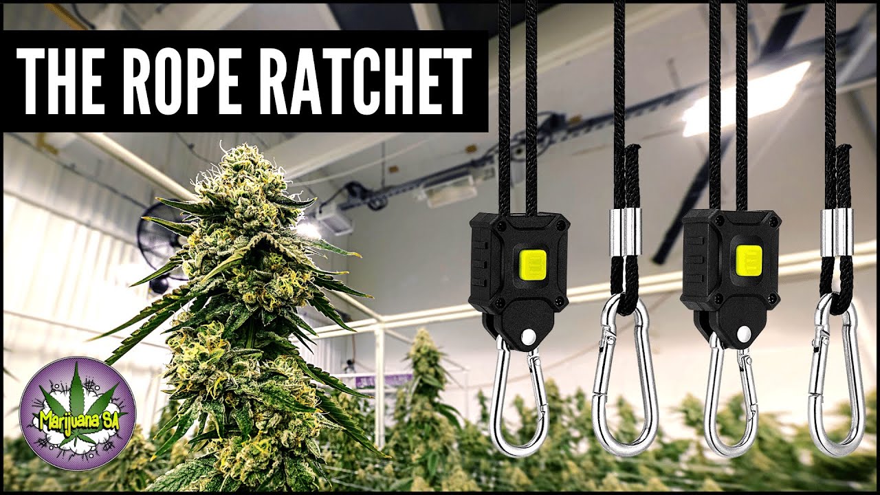How to Hang your Grow Light in a Grow Tent! - YouTube