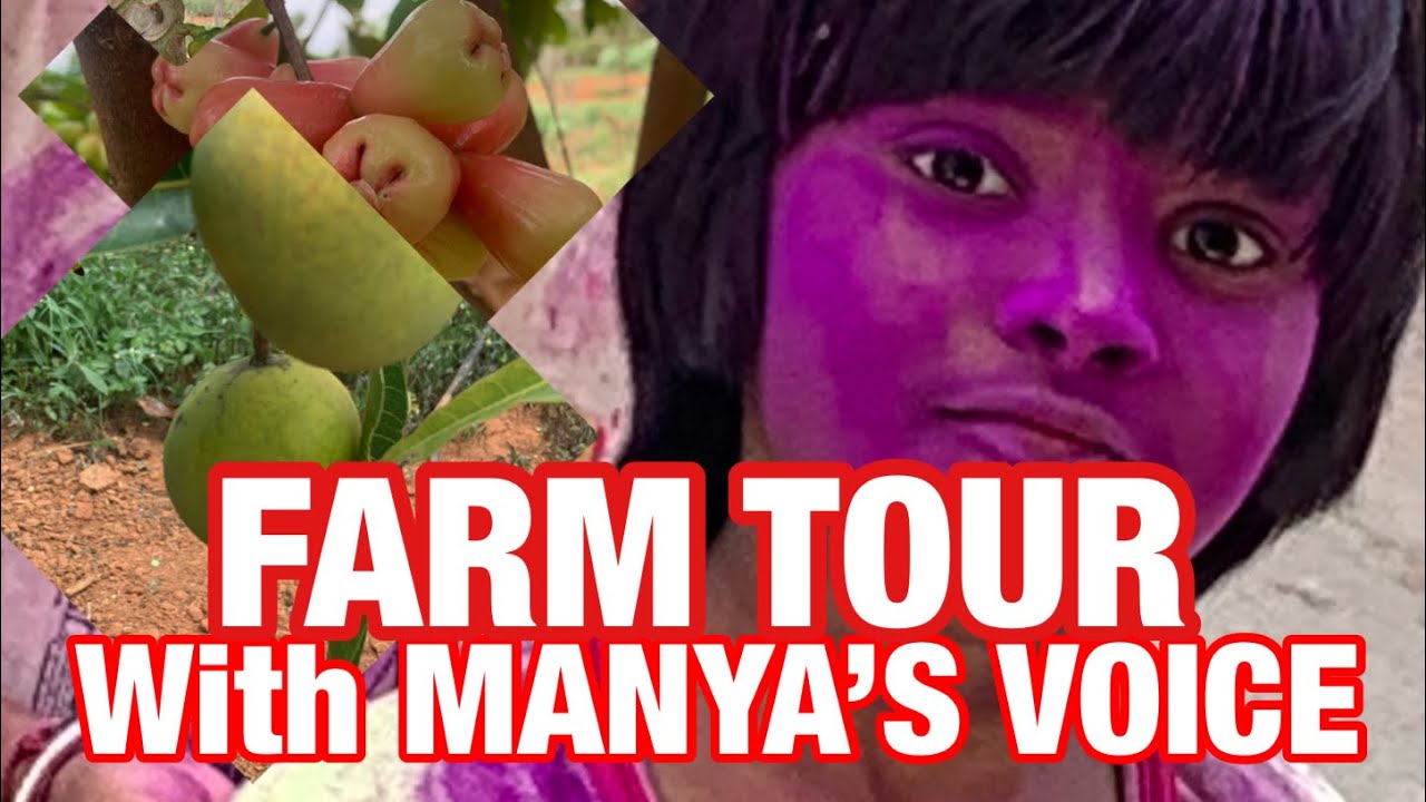 Farm tour video with Manya’s voice @ManyaAgroFarm - YouTube