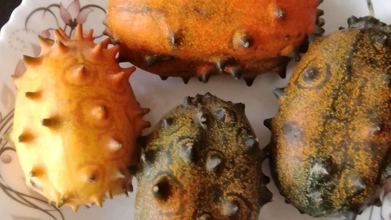 THORN MELON AND ITS HEALTH BENEFITS. - YouTube