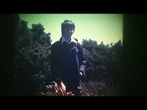 Monty's Movies December 1980