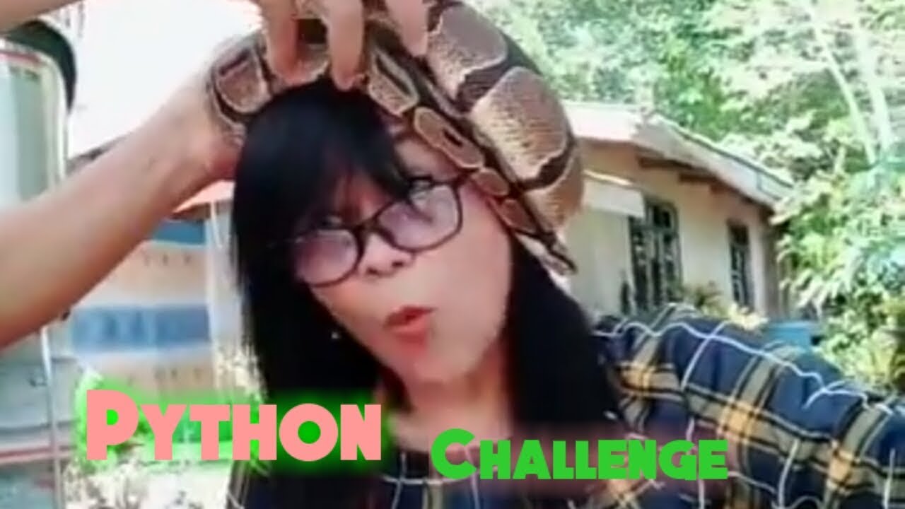Python Challenge Youtube 4694