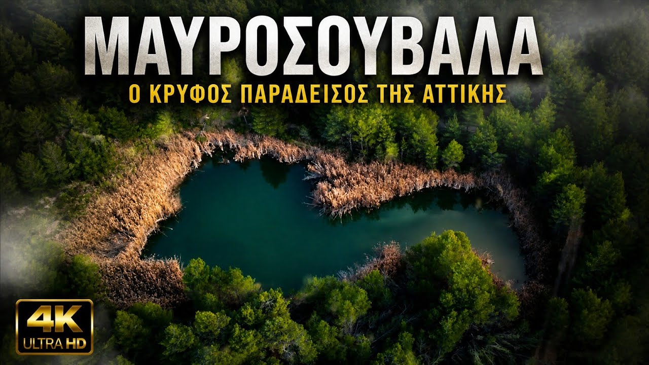 Μαυροσουβαλα ένας επίγειος φυσικός παράδεισος της Αττικής - YouTube