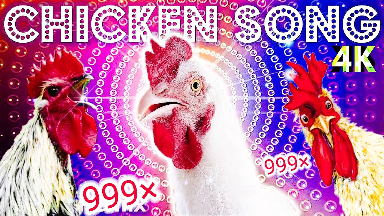 J.Geco - Chicken Song | Top5 NEW ReMix ( 999× ) - YouTube