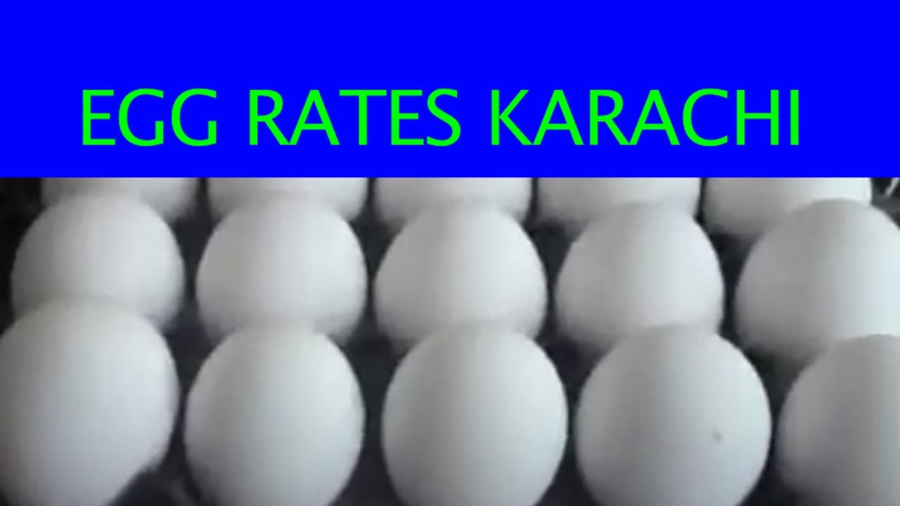Egg Rates In Karachi Wholesale Rates Of Eggs In Karachi Cost Of Egg Rates Hello Views Egg Rates In Karachi Wholesale Rates Of Eggs In Karachi Cost Of Egg Rates Hello Views