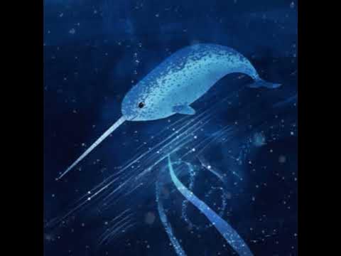 Narwhal Magic: Unveiling the Mysteries of the Sea's Unicorn 🌊🦄 - YouTube