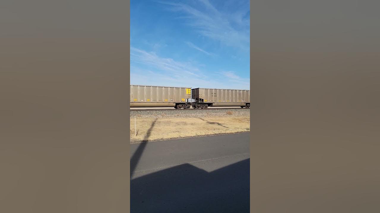 NS 4433 Leads Coal Train Northbound #train #railfan #norfolksouthern - YouTube