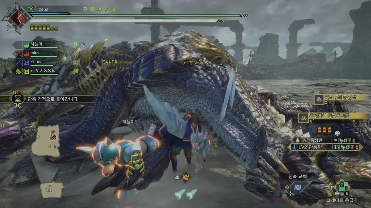 [MHR:SB] 괴탐 300 혼돈에 신음하는 고어 마가라 관통속사 라보 토벌기 - YouTube