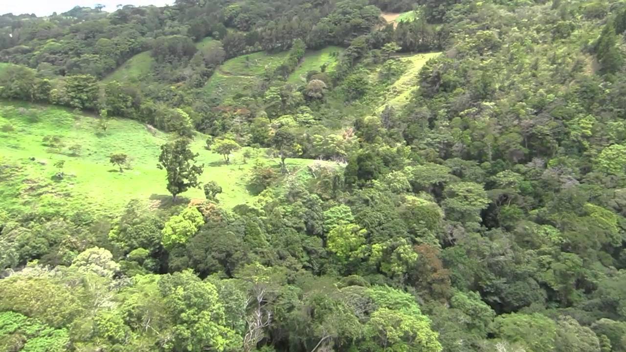 Monteverde, Costa Rica. Extremo Canopy Tour, Superman Zip Line, 1Km ...