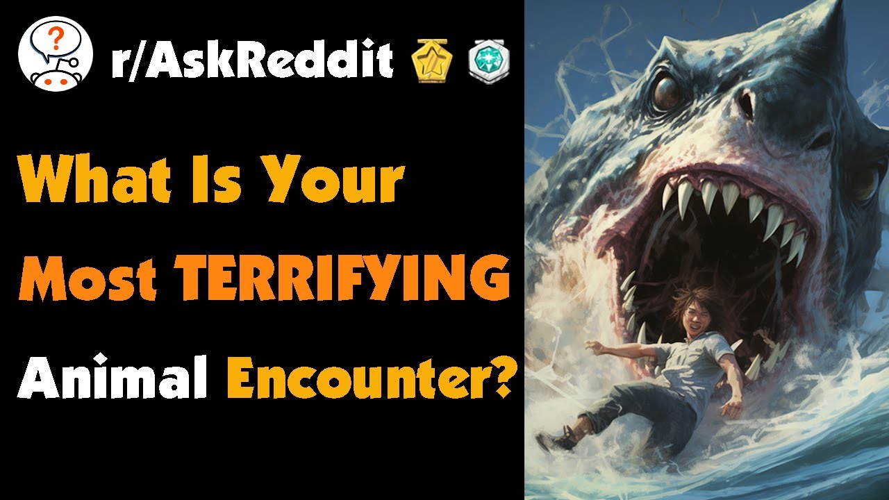 What Is Your Most Terrifying Animal Encounter? - YouTube