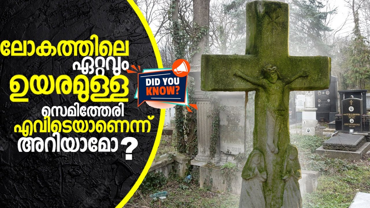 World tallest semitheri | Cemetery in Santos Brazil | Pele cemetery ...