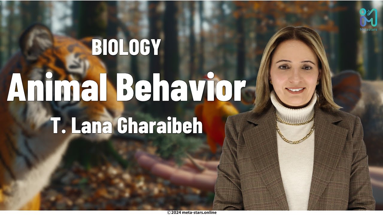 Animals Behavior - YouTube