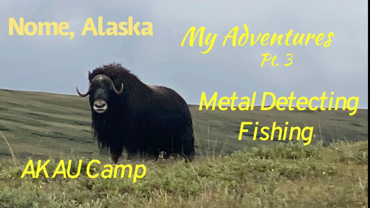 Nome, Alaska pt. 3 - My Adventures - Metal Detecting - Fishing - AKAU ...